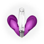 Evin Revello | A People Person Nerd